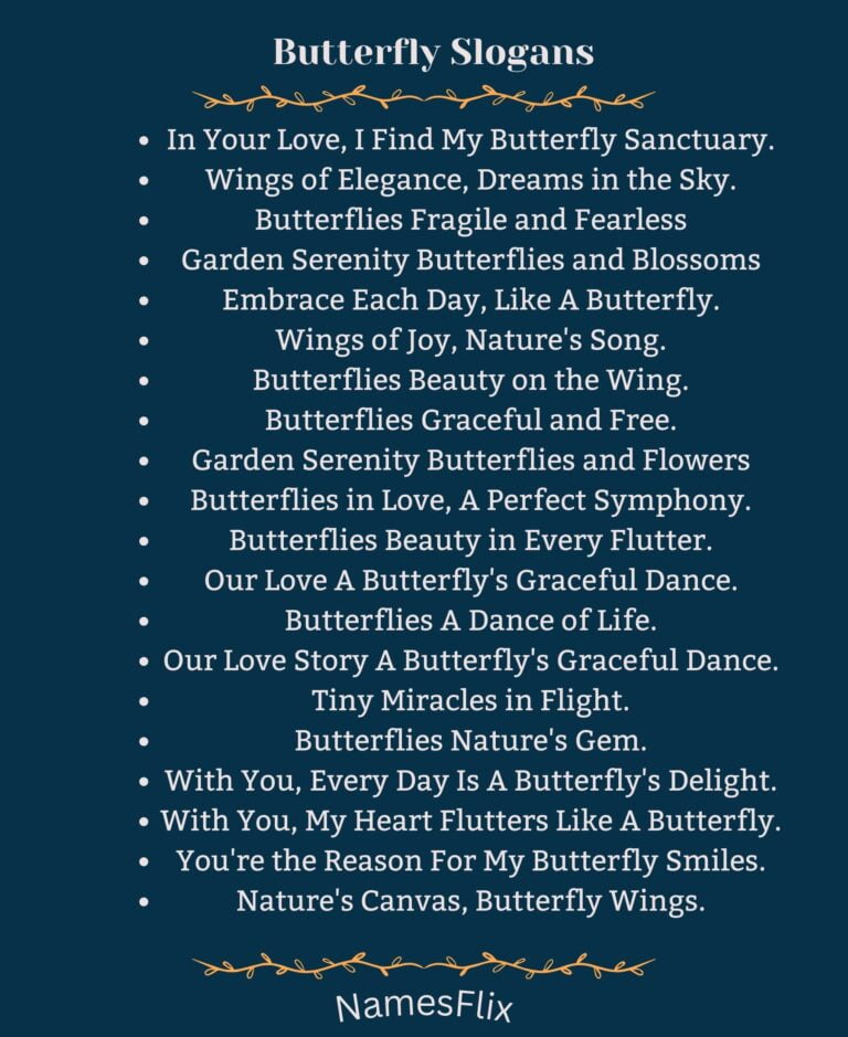500+ Cute Butterfly Slogans Ideas For Representing Love