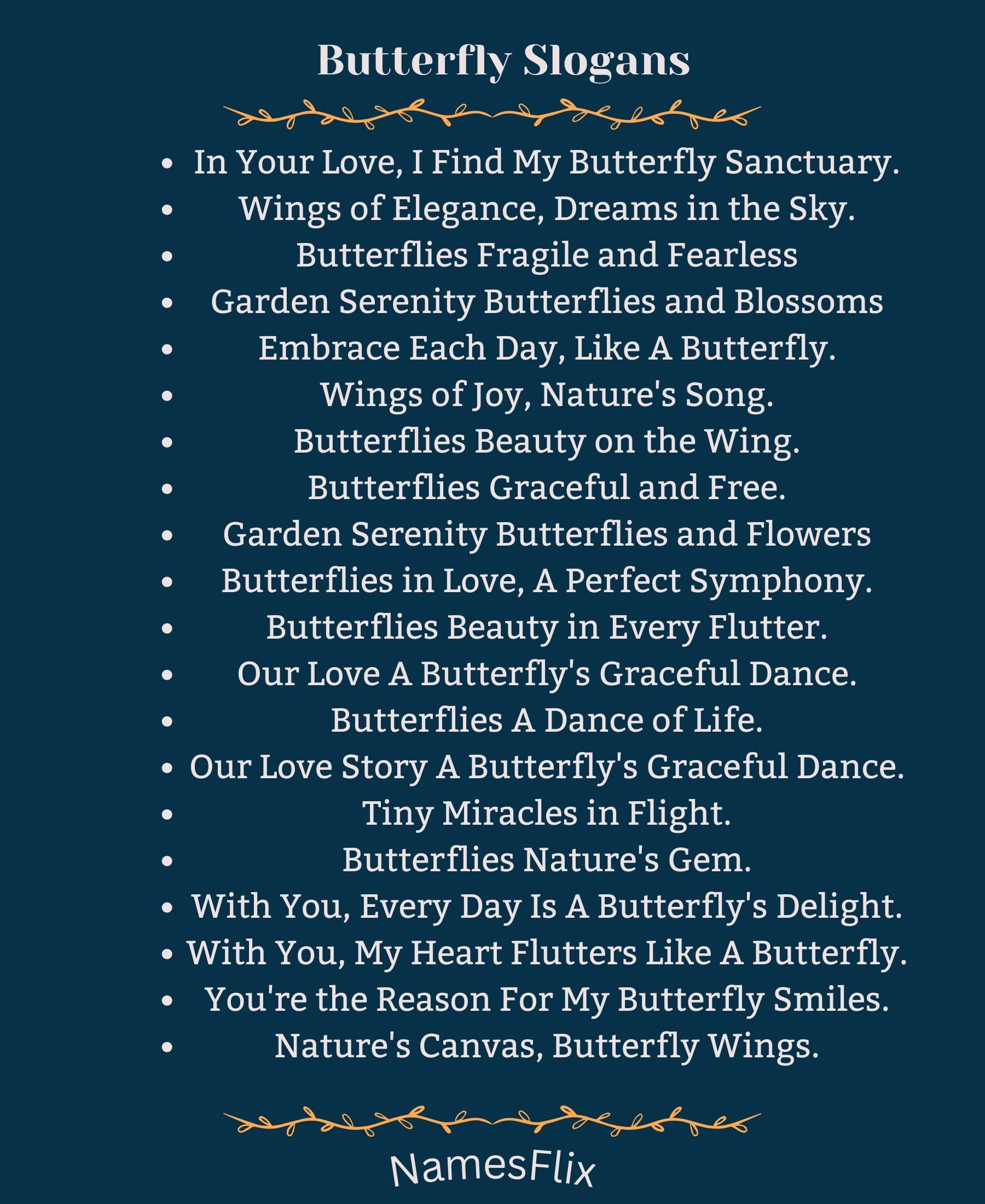 500+ Cute Butterfly Slogans Ideas For Representing Love